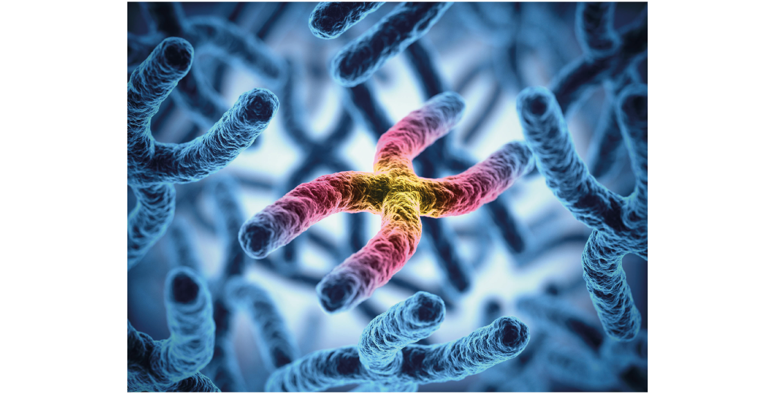 Blocking two enzymes could make cancer cells mortal | Swiss National ...