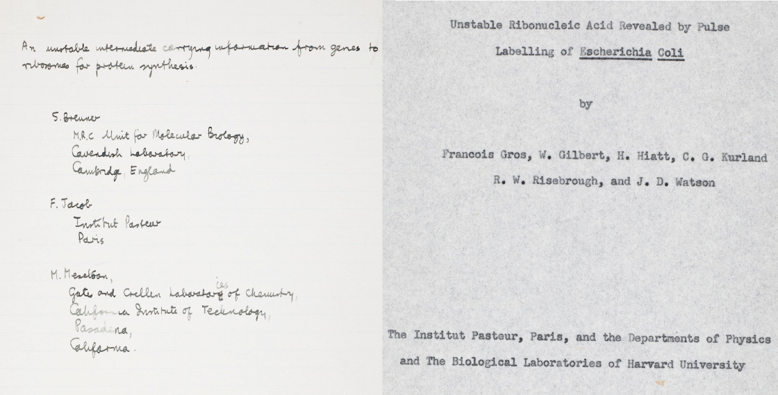60th Anniversary of Two Seminal mRNA Publications | Swiss National ...