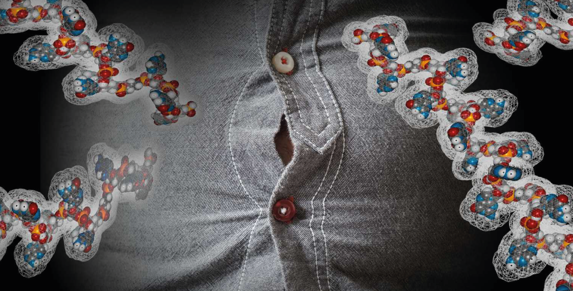 How genetics influences our body weight beyond the genes | Swiss ...