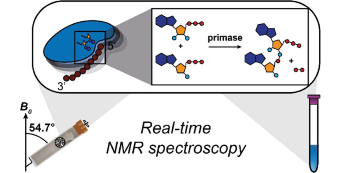 Monitoring in Real-Time Initial DNA Primer Synthesis | Swiss National ...
