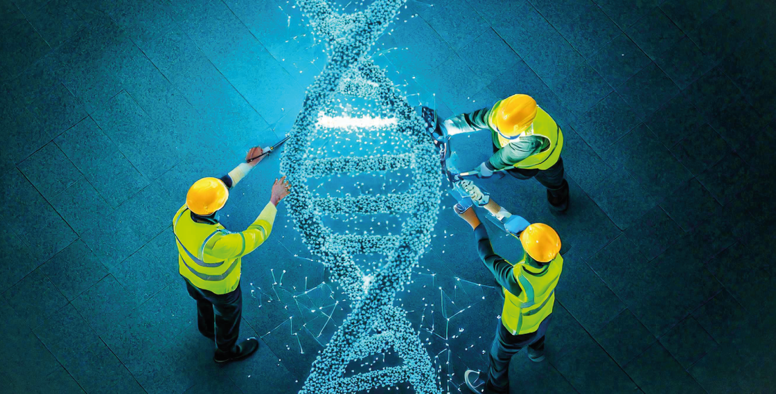 How human cells repair damaged DNA | Swiss National Center of ...